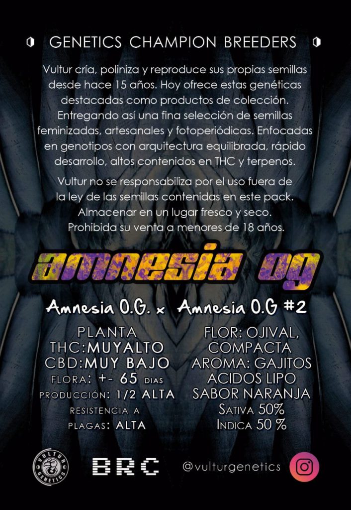 Amnesia OG - Anfibio Semillas